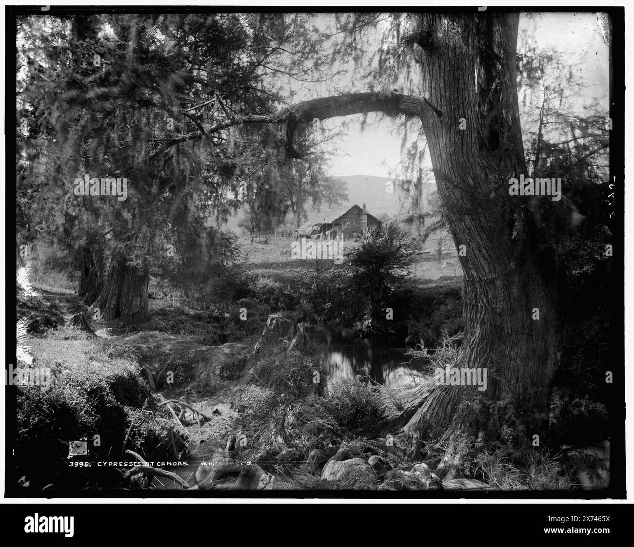 Unverified information Cut Out Stock Images & Pictures - Alamy