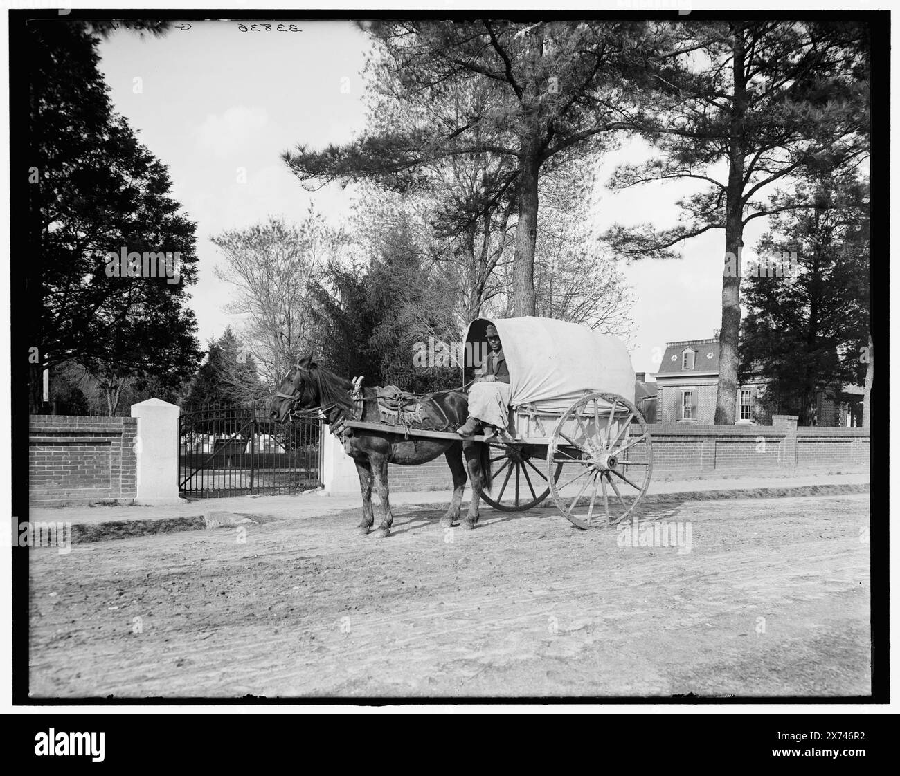 Selling on cart Black and White Stock Photos & Images - Alamy