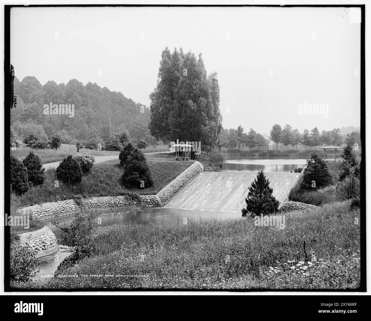 Forest streams Black and White Stock Photos & Images - Alamy