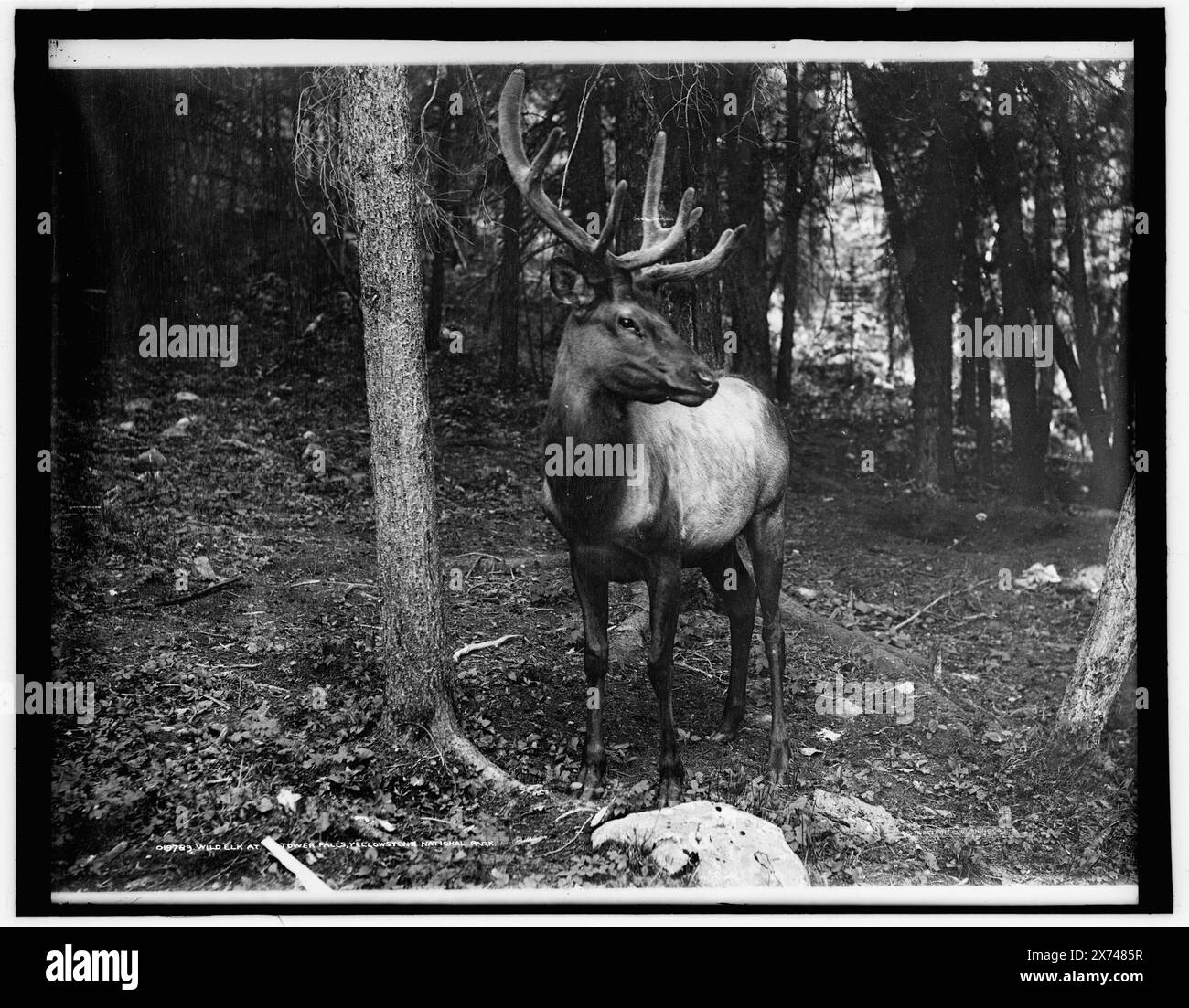 30598 Black and White Stock Photos & Images - Alamy