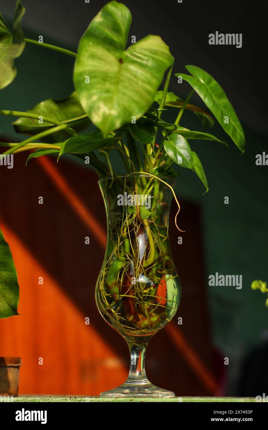 Glass recycling plant hi-res stock photography and images - Alamy