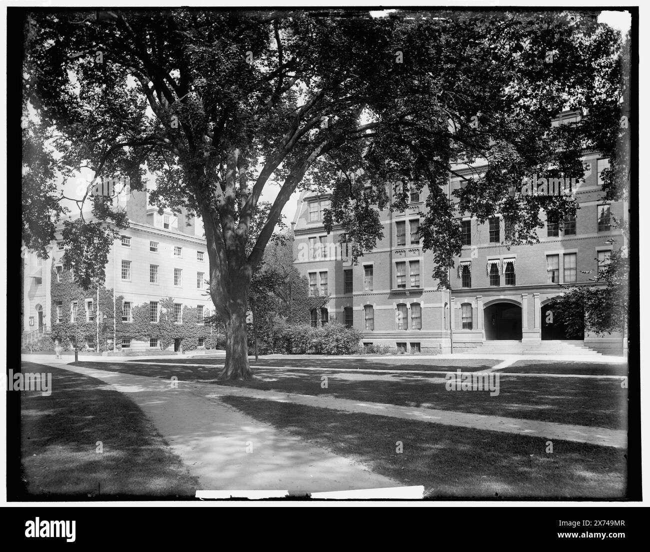 Buildings walkways harvard yard university hi-res stock photography and ...