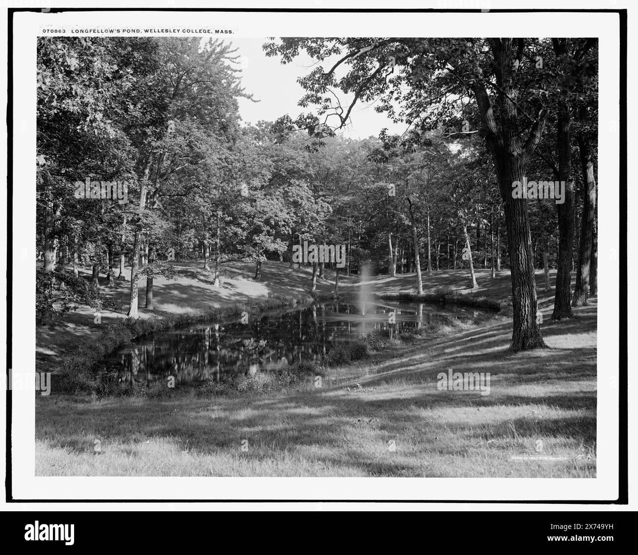 Pond society Cut Out Stock Images & Pictures - Alamy