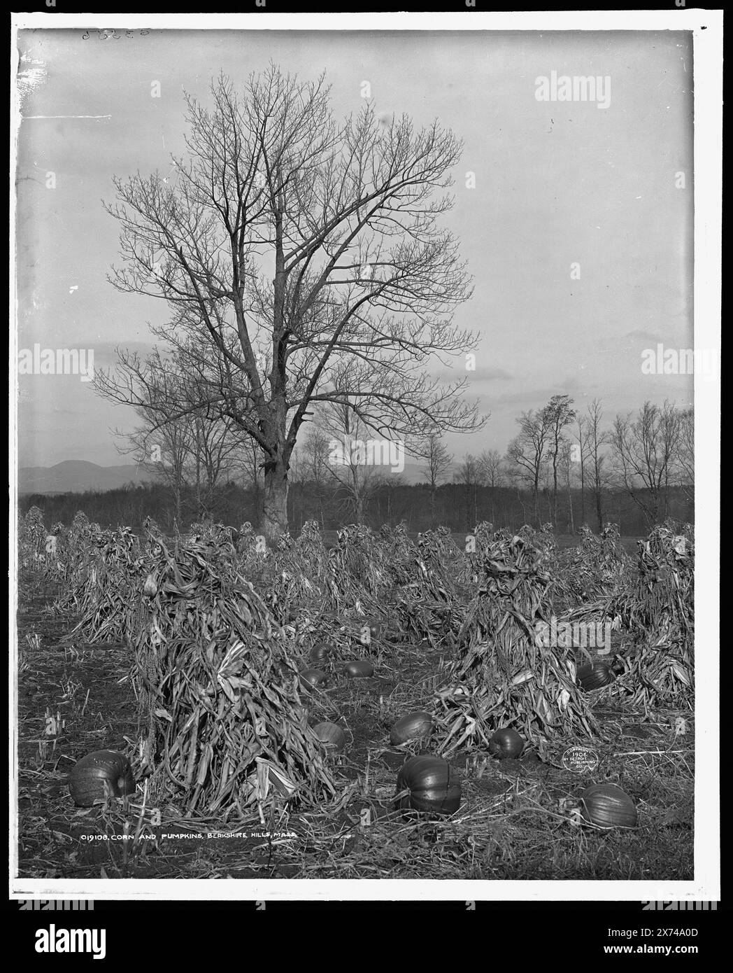 Field crops united states Black and White Stock Photos & Images - Alamy