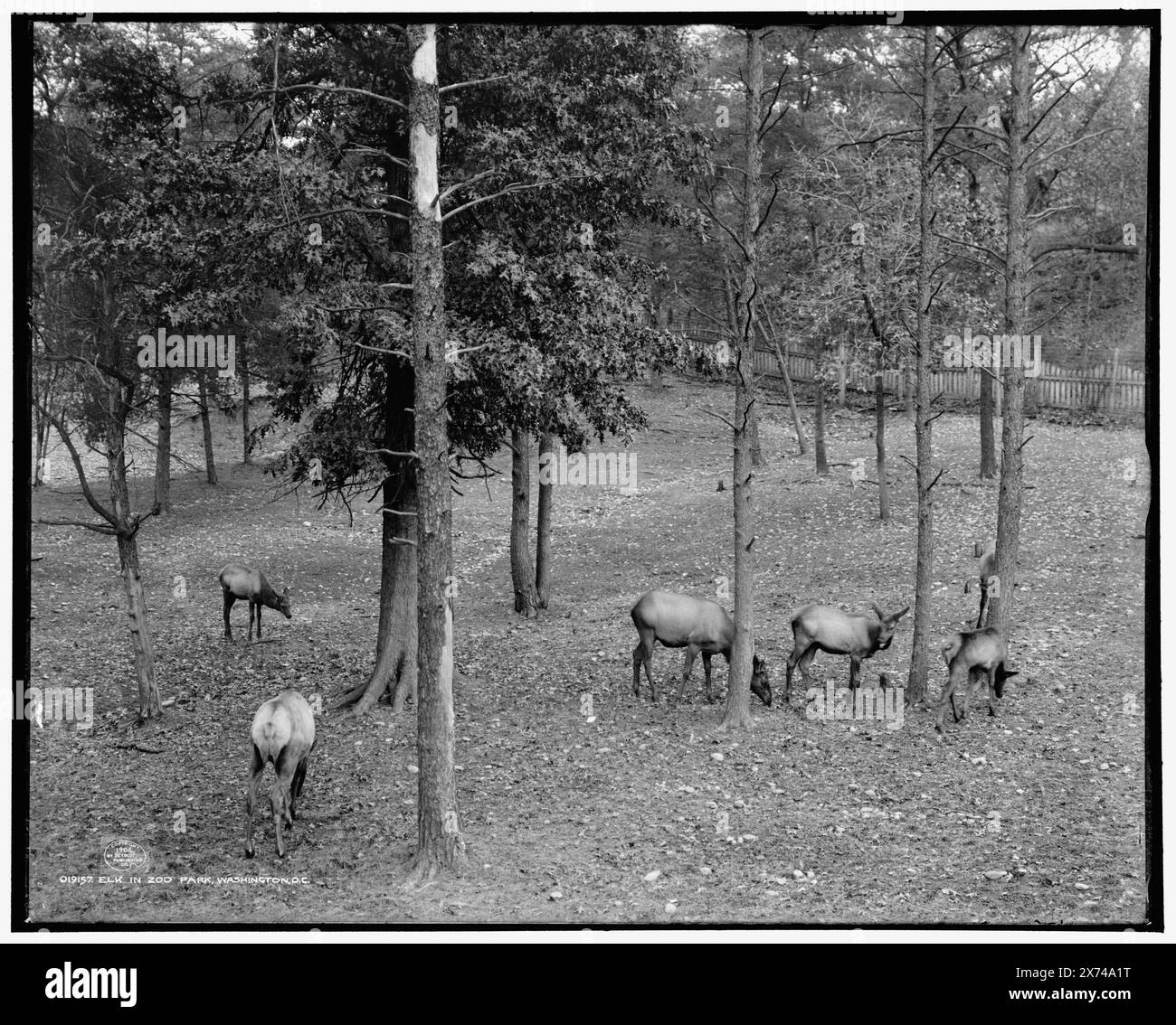 Washington historical state parks Black and White Stock Photos & Images ...