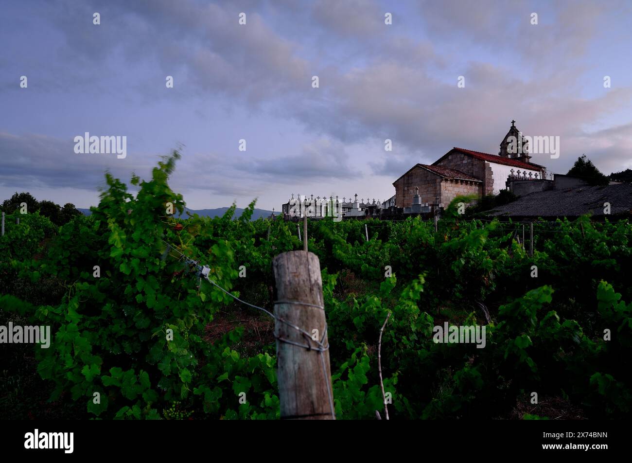 Espasantes hi-res stock photography and images - Alamy