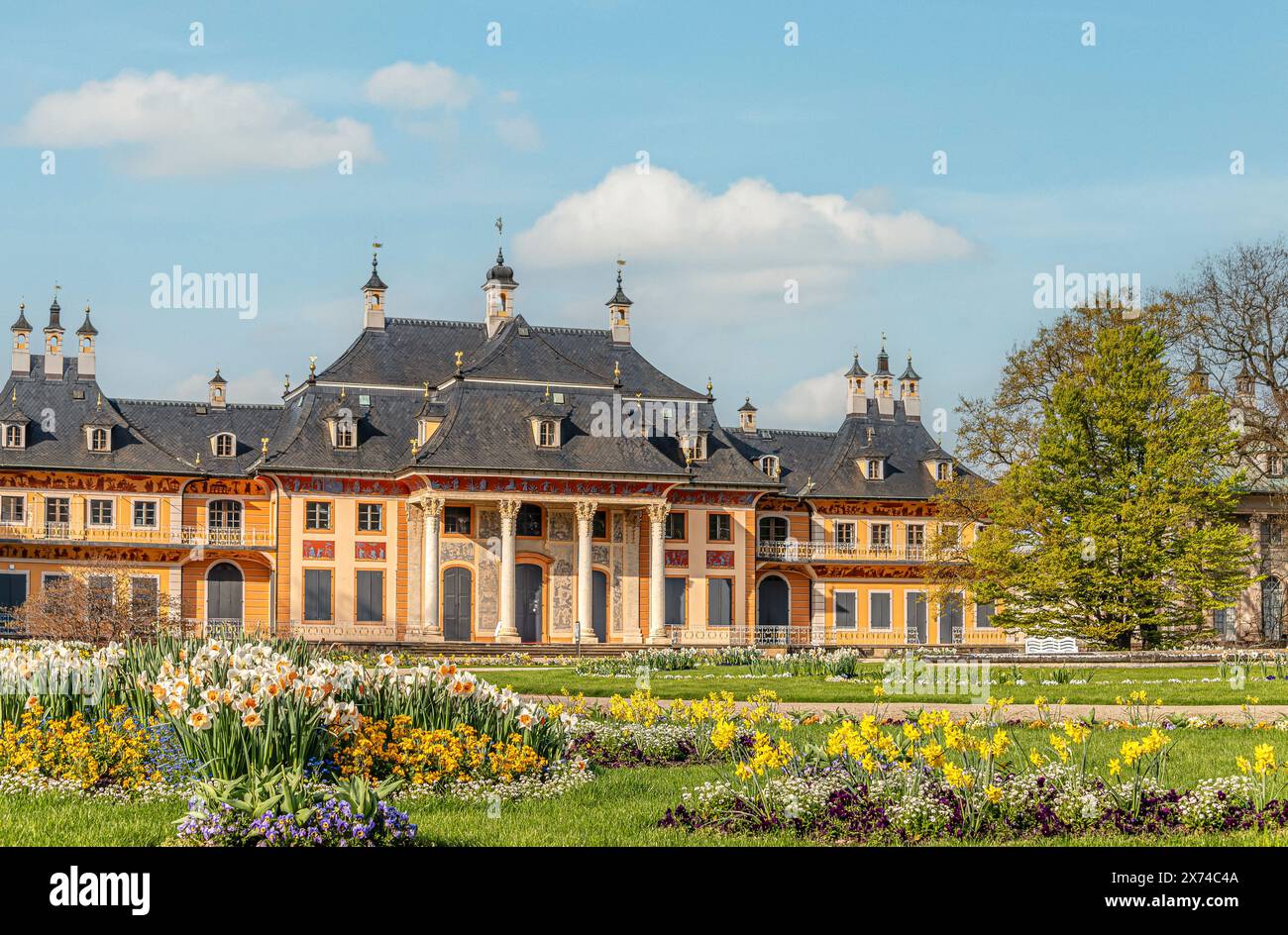 Spring flowers in front of the Water Palace in Pillnitz Palace Park ...