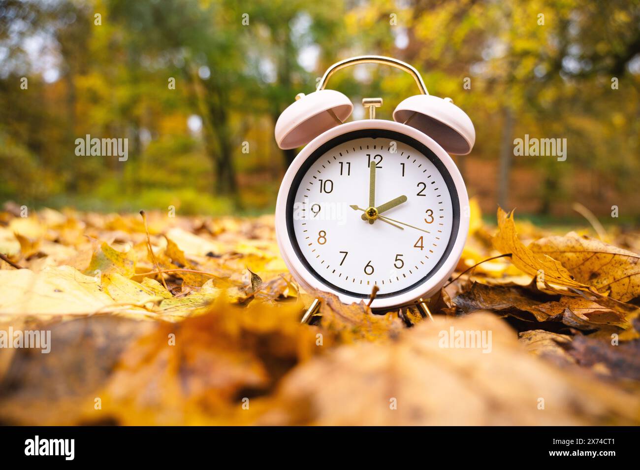 Alarm clock with autumn foliage, end of daylight saving time in fall ...