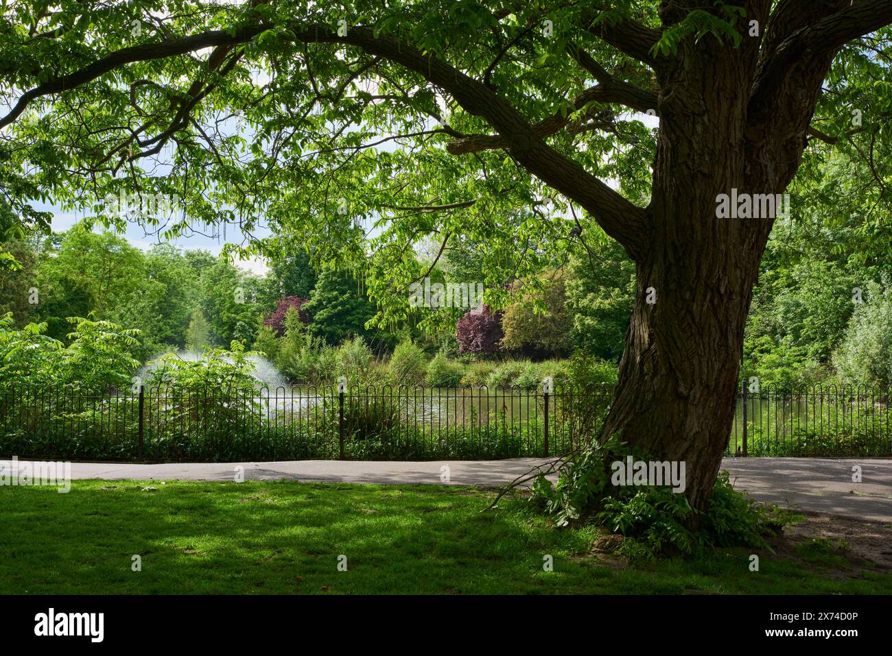 Trees in Clissold Park in late springtime, Stoke Newington, London UK ...