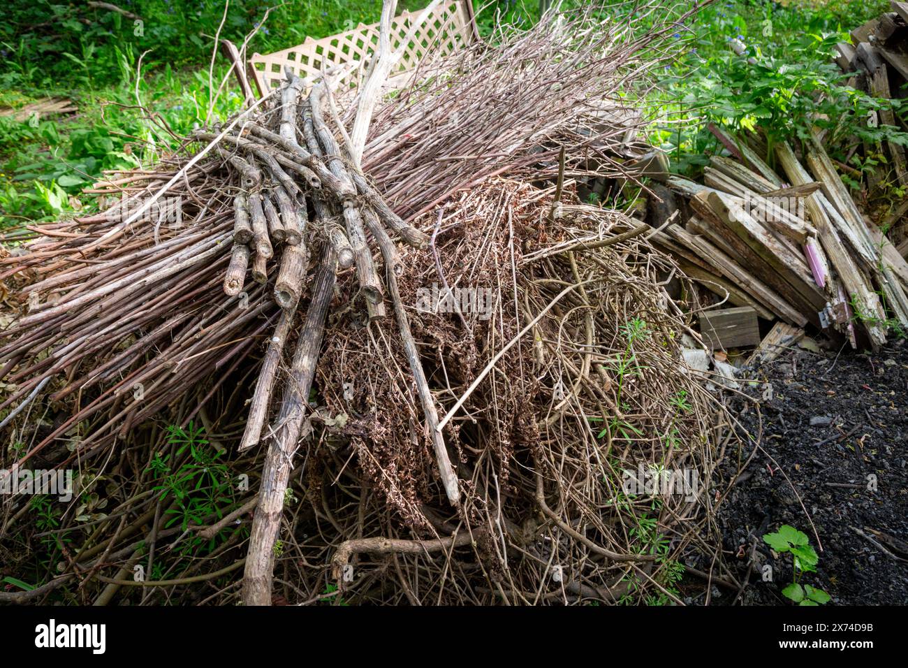 Untidy garden hi-res stock photography and images - Alamy