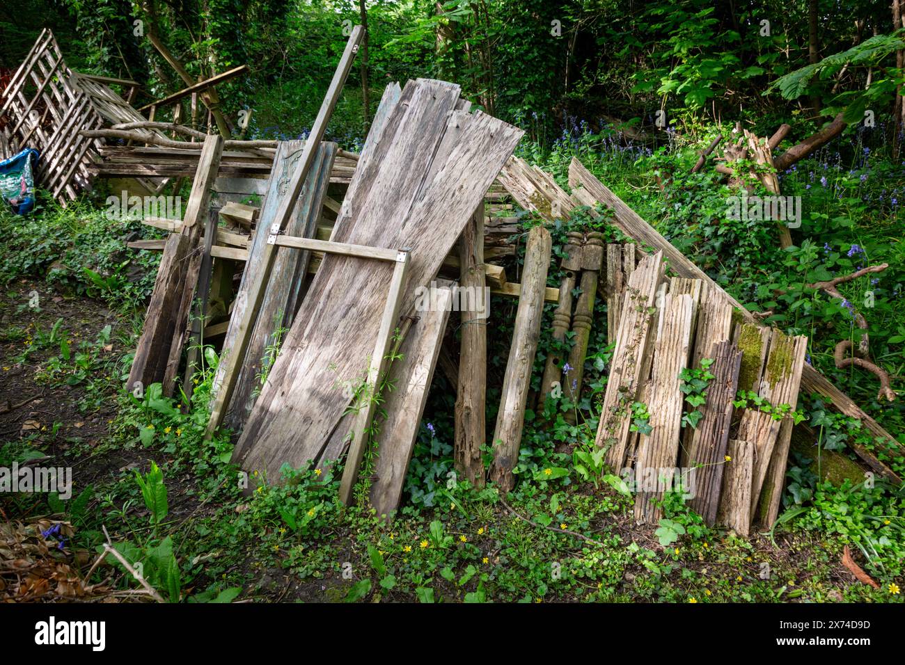Untidy garden hi-res stock photography and images - Alamy