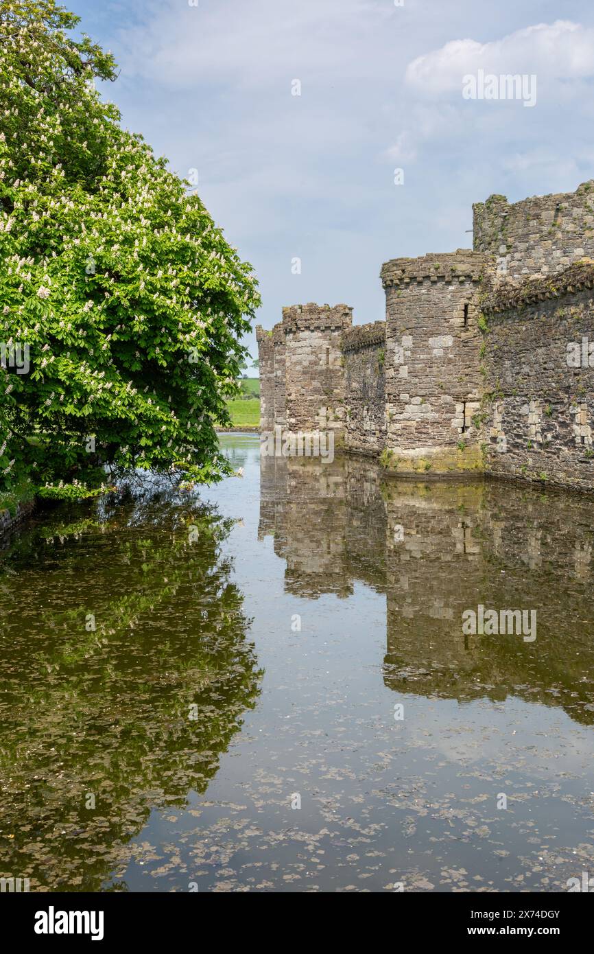 Beaumaris Castle, Wales, UK 2024 Stock Photo - Alamy