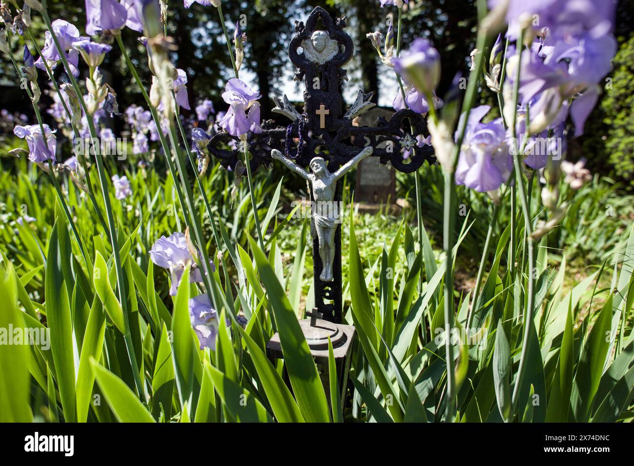 Many graves merely display ‘Namenlos’ (‘nameless’) or some variation ...