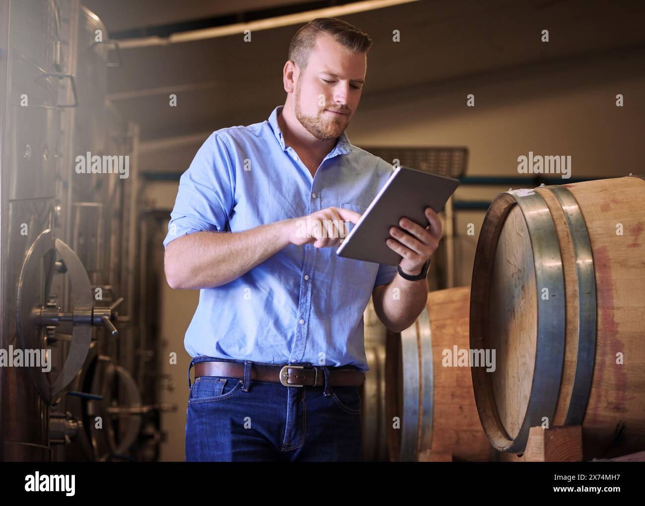 Business, man and browsing tablet in brewery as manager for research or ...