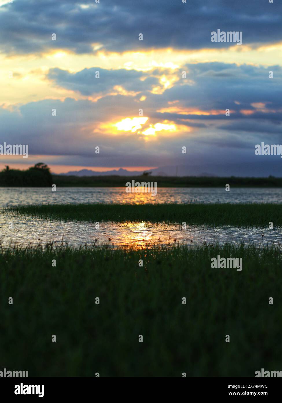 sunset atmosphere in the lakeside meadow Stock Photo - Alamy