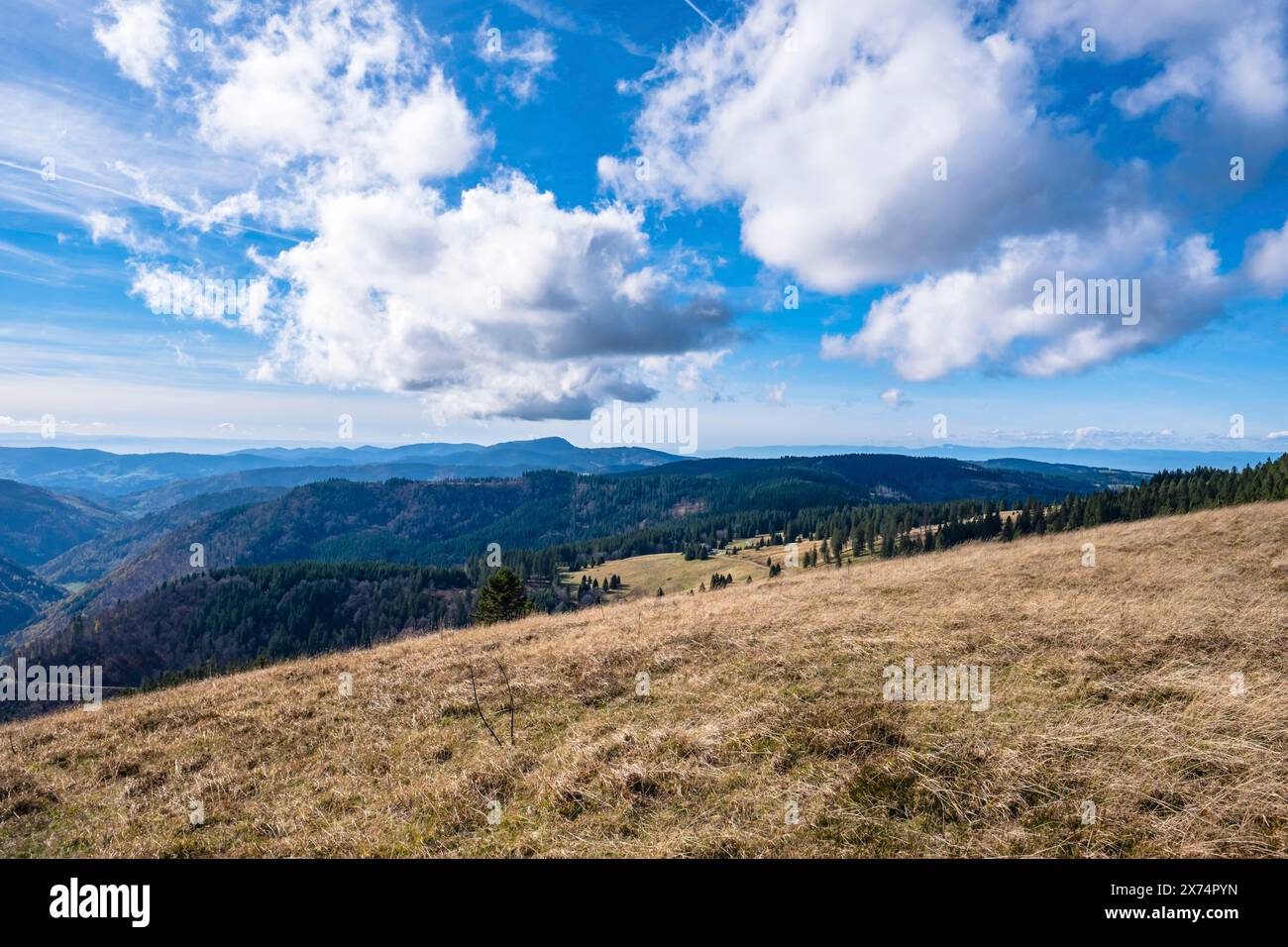 Wide mountain landscape with meadows in the foreground, mountains in ...