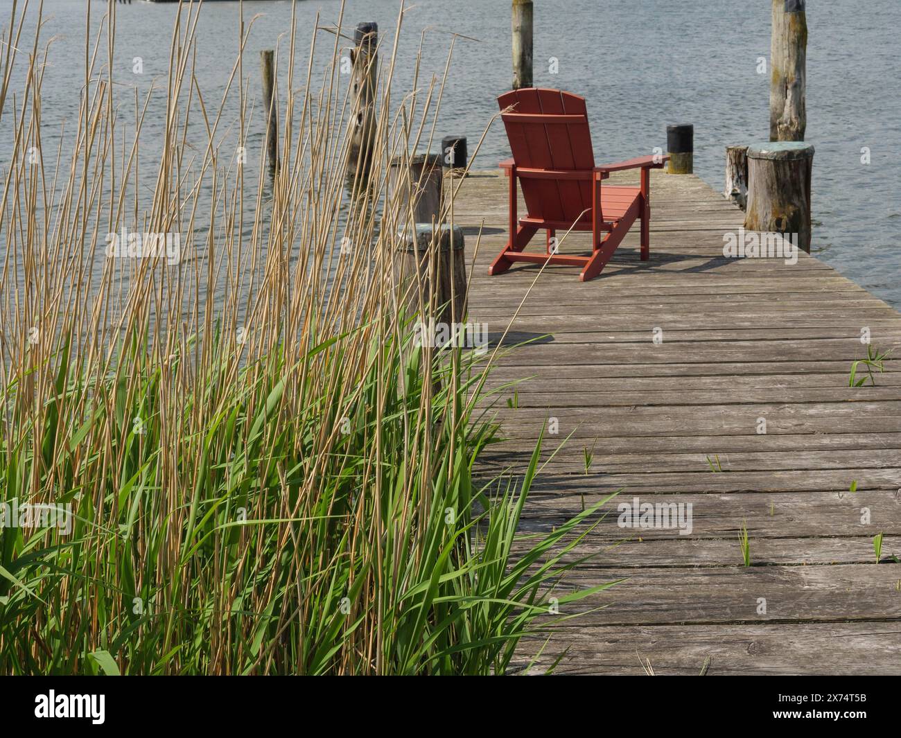 Timber net seat hi-res stock photography and images - Alamy