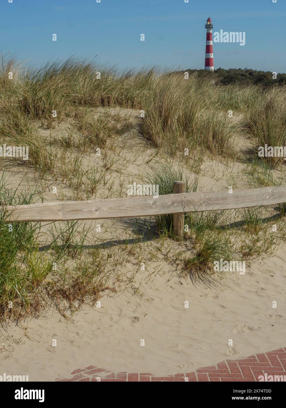 A lighthouse stands behind sandy dunes and grasses with a clear blue ...