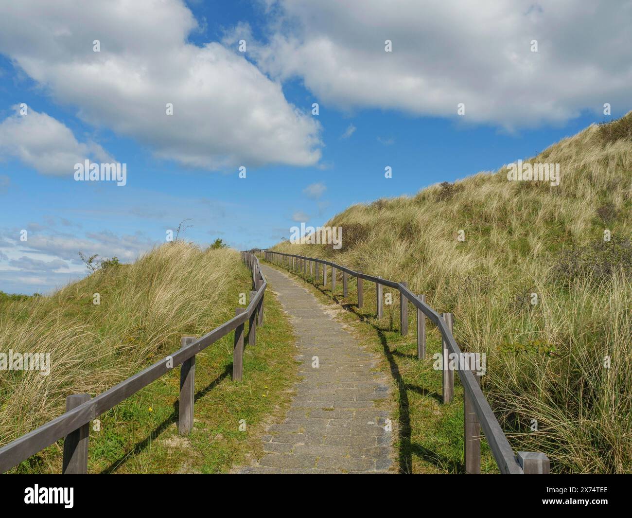 Narrow winding path with wooden railings through grassy dunes under a ...