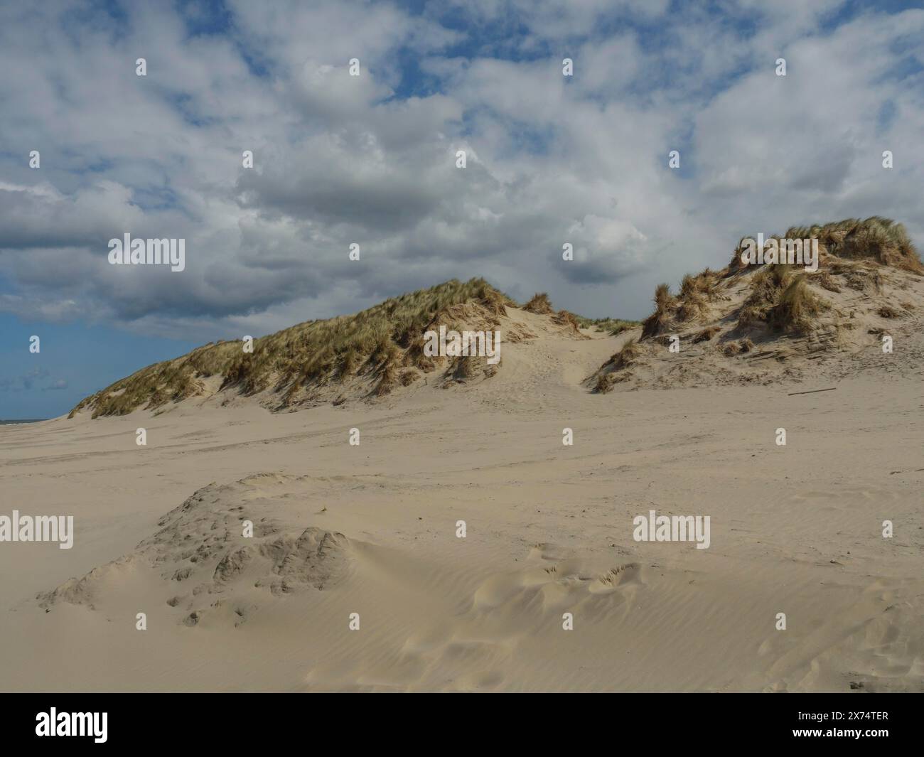 Wide sand dune landscape under a sky with threatening clouds, beach and ...