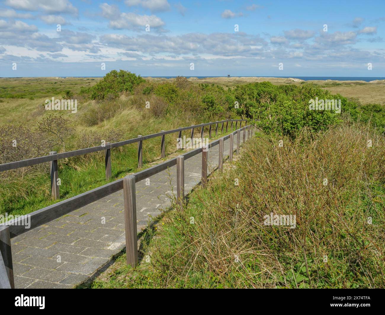 Narrow path with wooden railings leading through grassy dunes, under a ...