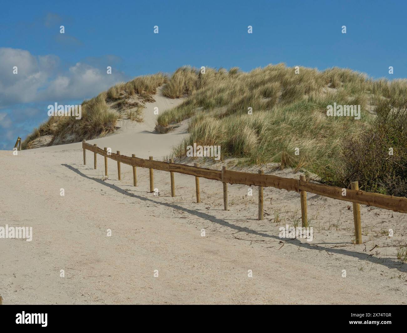 Sand dunes by the sea with blue sky, nes, ameland, netherlands Stock ...