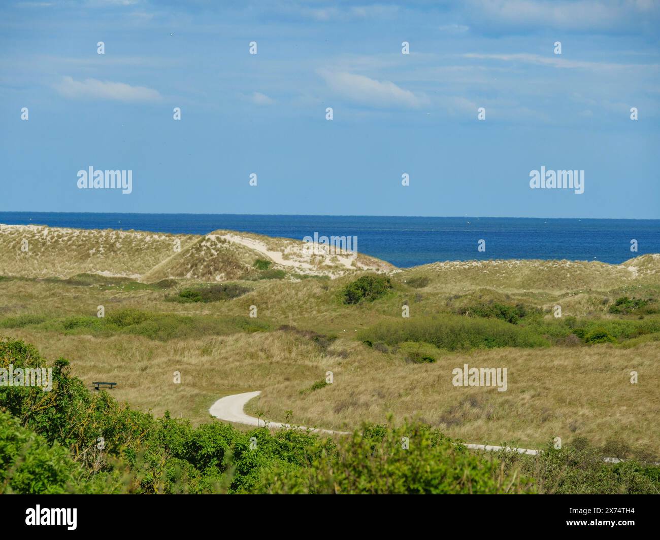 Sand dunes and grassy hills with coastal views of the sea under a blue ...