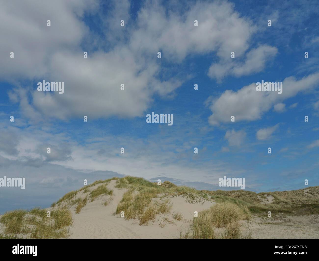 Sand dunes by the sea with blue sky and clouds, nes, ameland ...