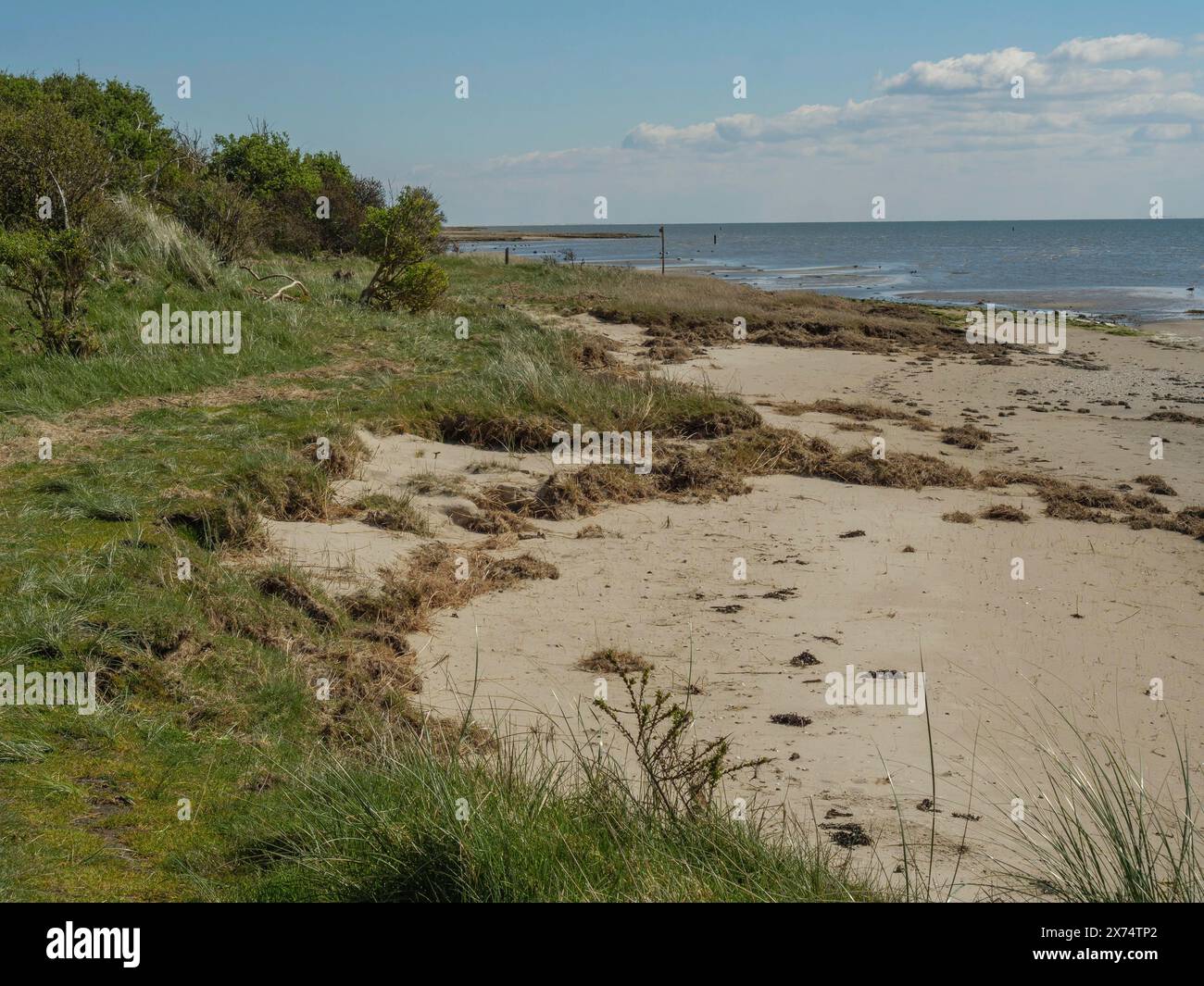 A stretch of coastline with beach, grass and a sea view under a blue ...