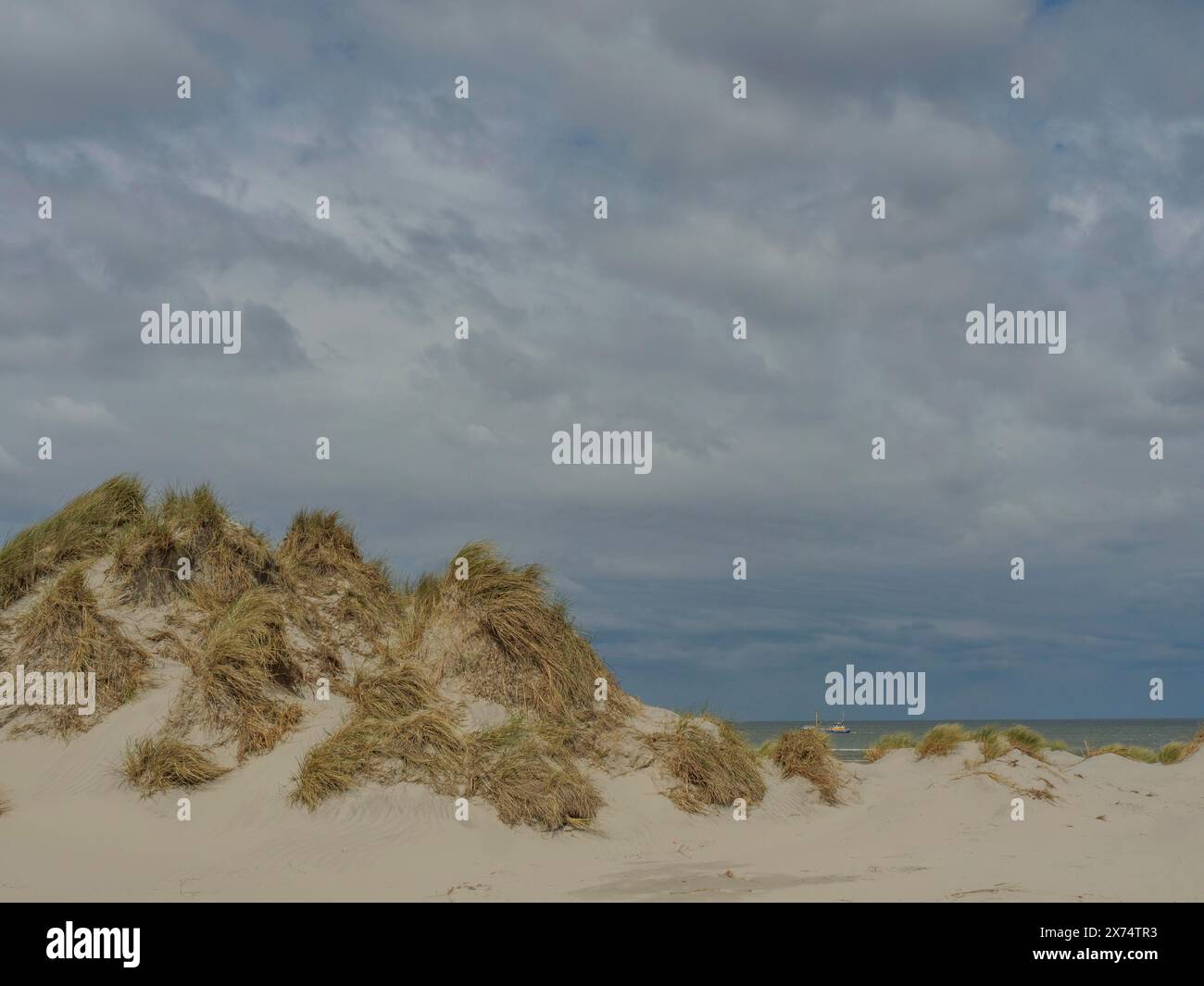Sand dunes with grass under an overcast sky, dune with dune grass and a ...