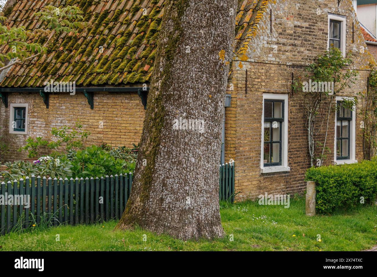 Rustic brick house with moss-covered tiled roof and a large tree in ...