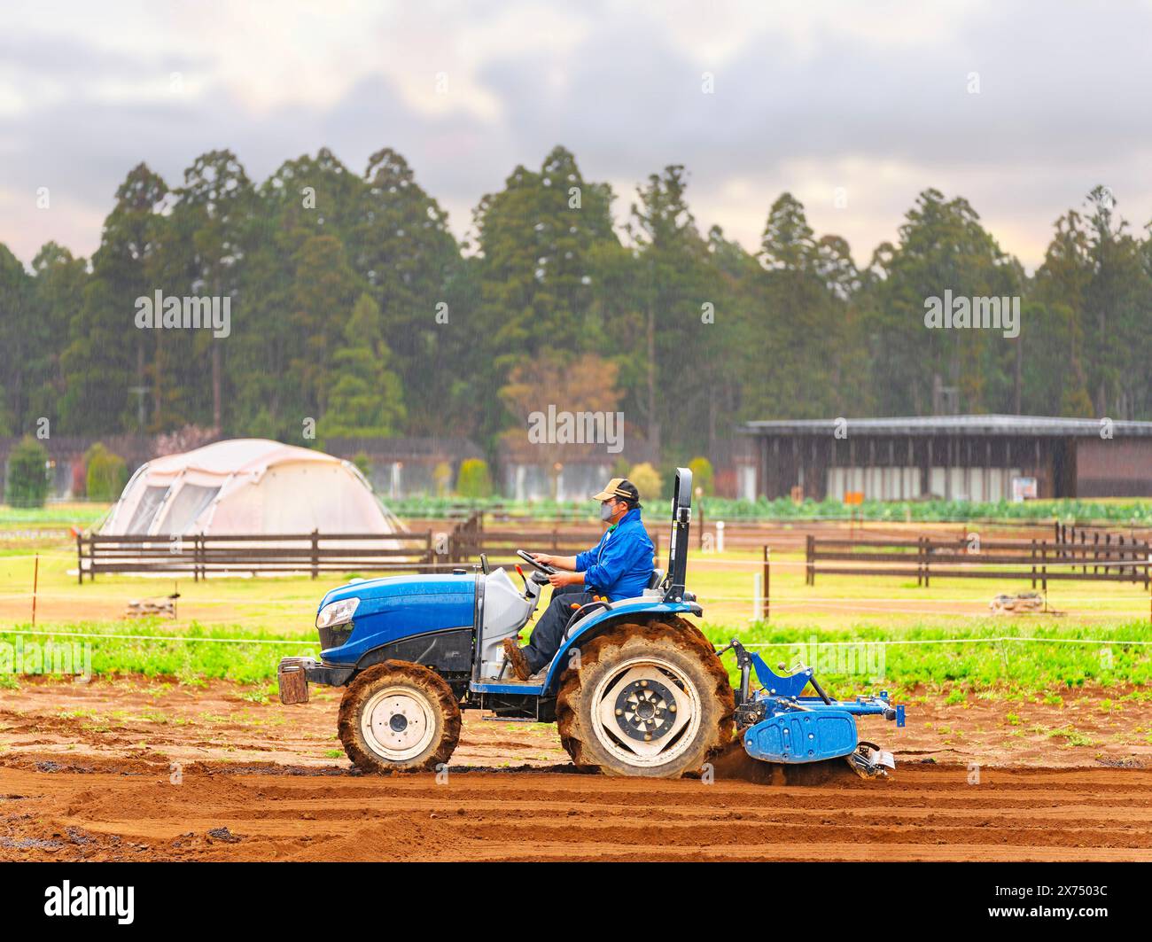 In the picturesque Japanese countryside, amidst a gentle rain, a farmer ...