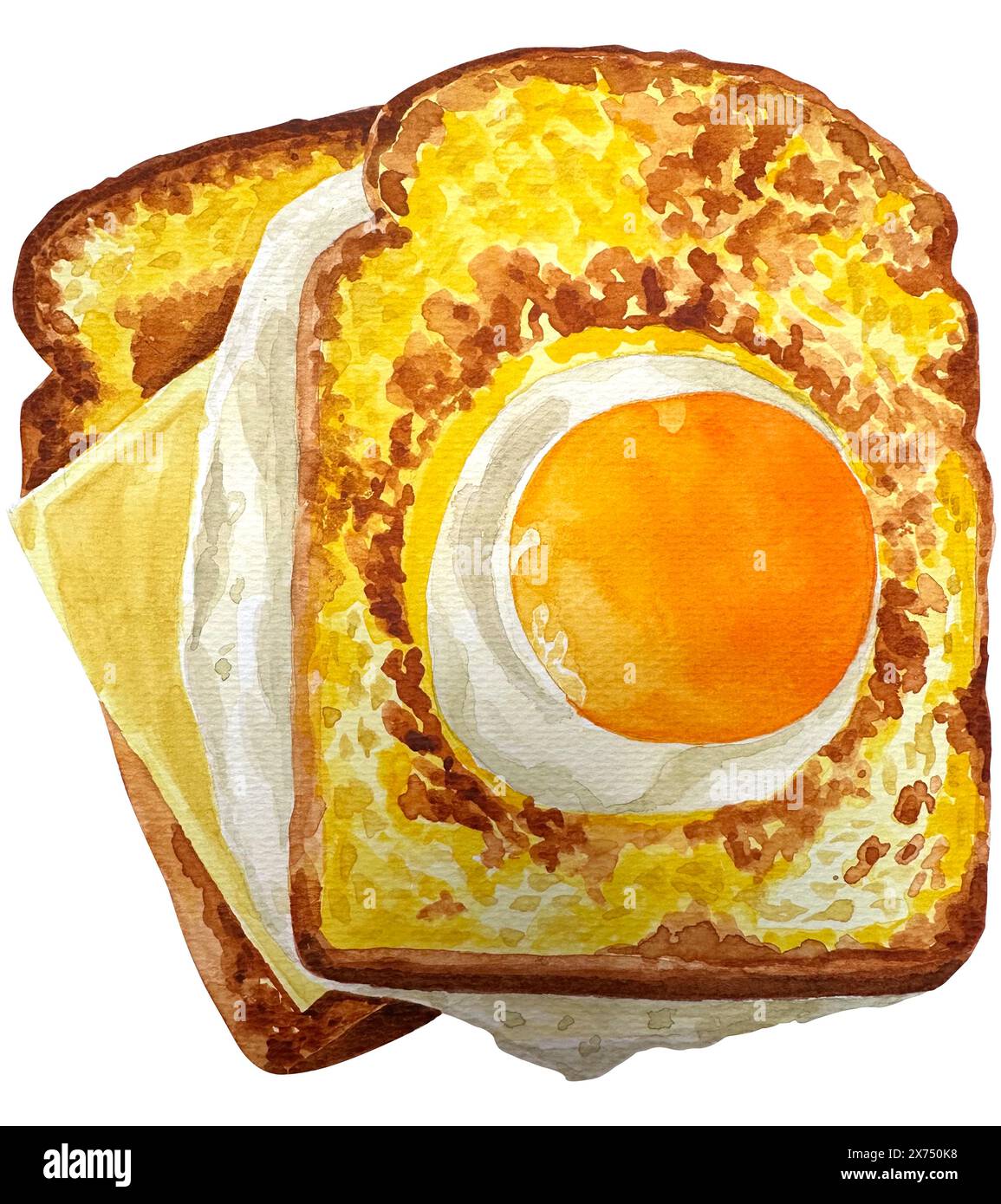 Breakfast illustration egg and ham toast that looks delicious (half ...