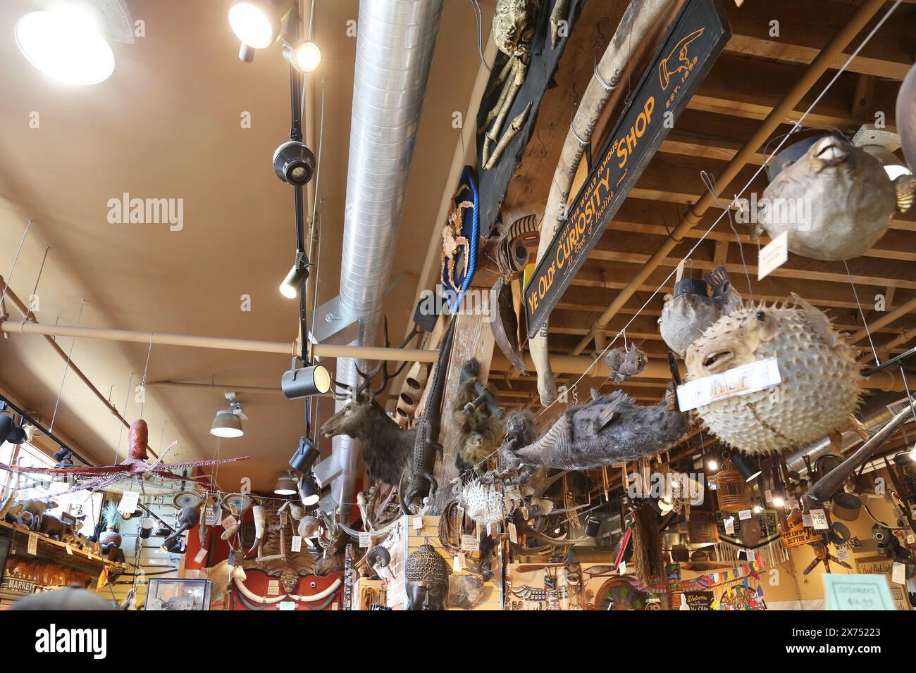 Ye Olde Curiosity Shop, Pier 54, Waterfront, Alaskan Way, Seattle ...