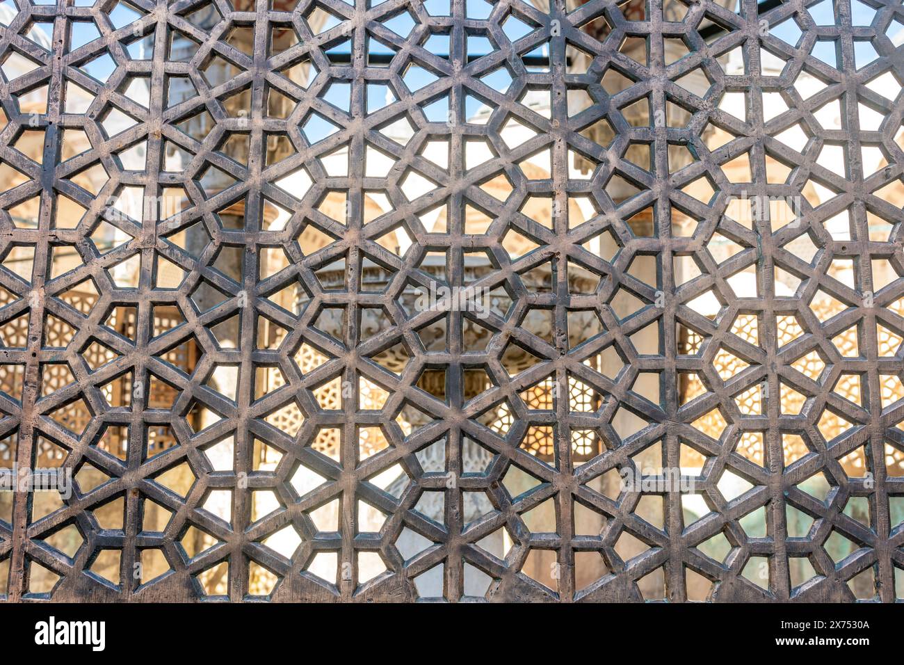 Part of historical decorative metal fence in the courtyard of the Blue ...