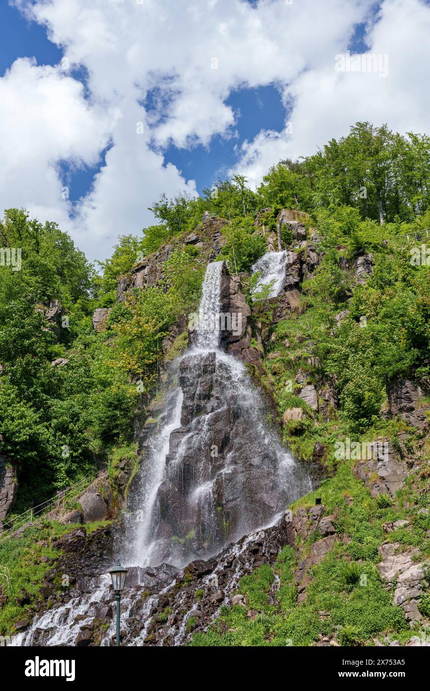 A picturesque waterfall cascades down a hill among lush trees, creating ...