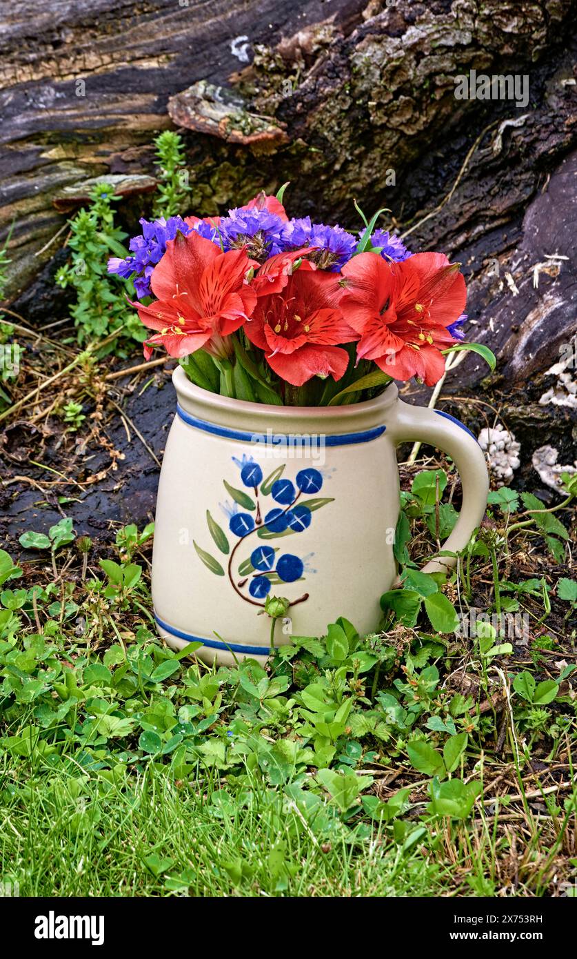 A still life of Saint Martin Lily flowers and purple Statice flowers ...