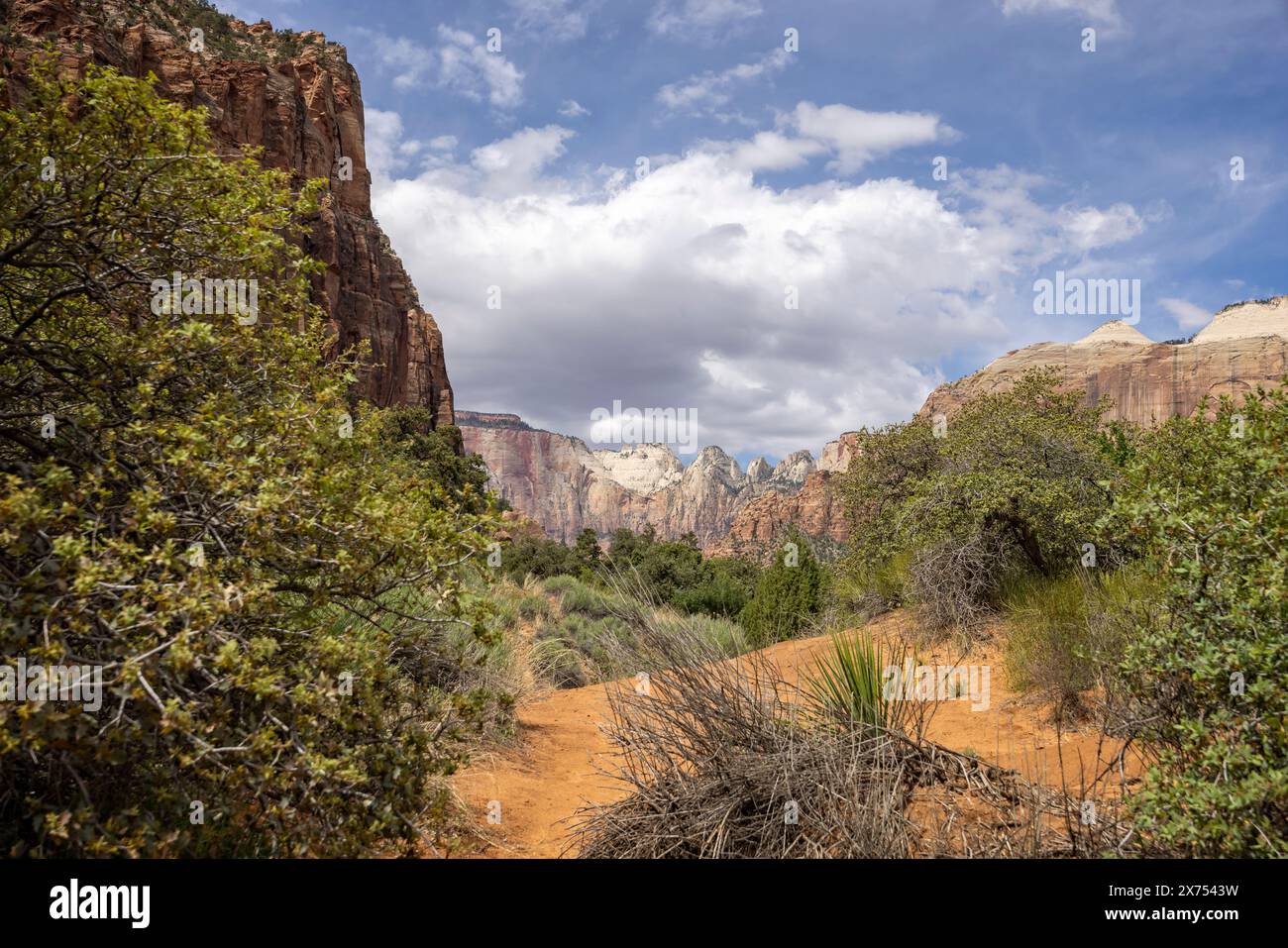 The West Temple and Towers of the Virgin from the Mount Carmel Highway ...