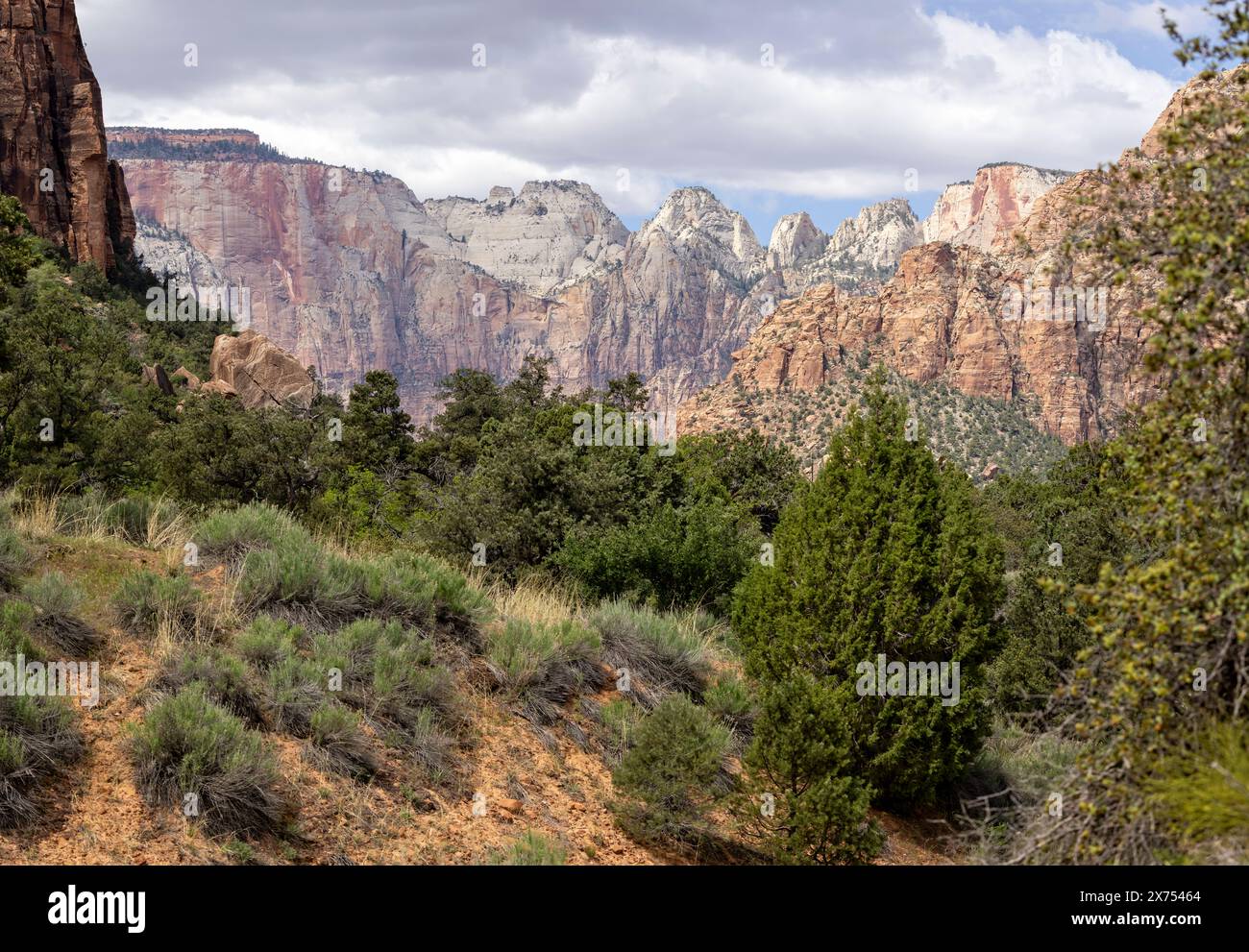 The West Temple and Towers of the Virgin from the Mount Carmel Highway ...