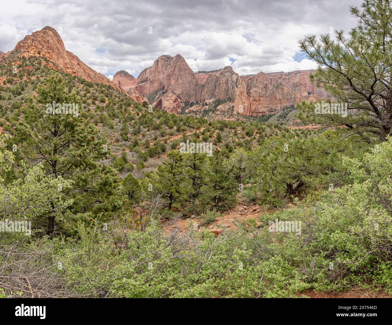 Navajo sandstone rock formations from the Mount Carmel Highway in Zion ...