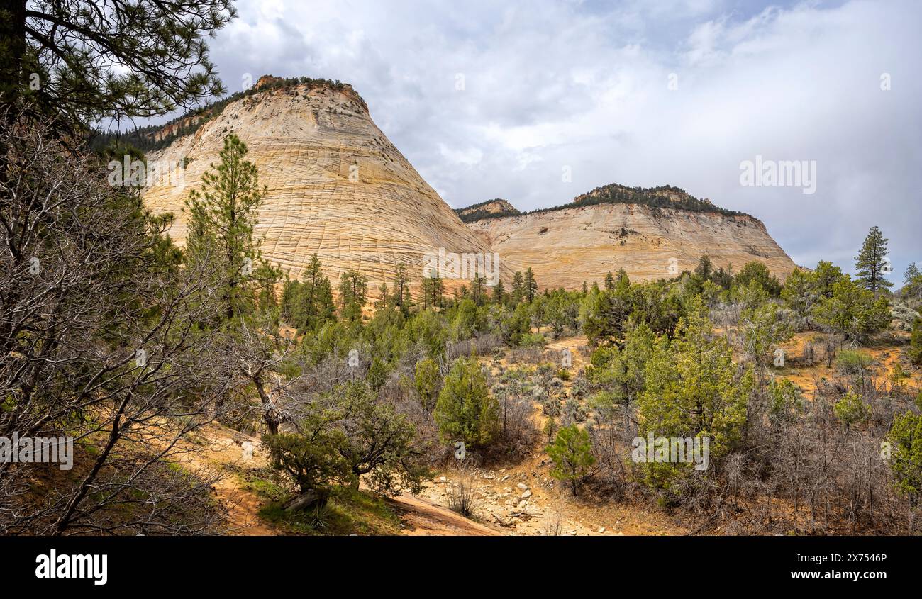Checkerboard Mesa rock formation off the Mount Carmel Highway in Zion ...
