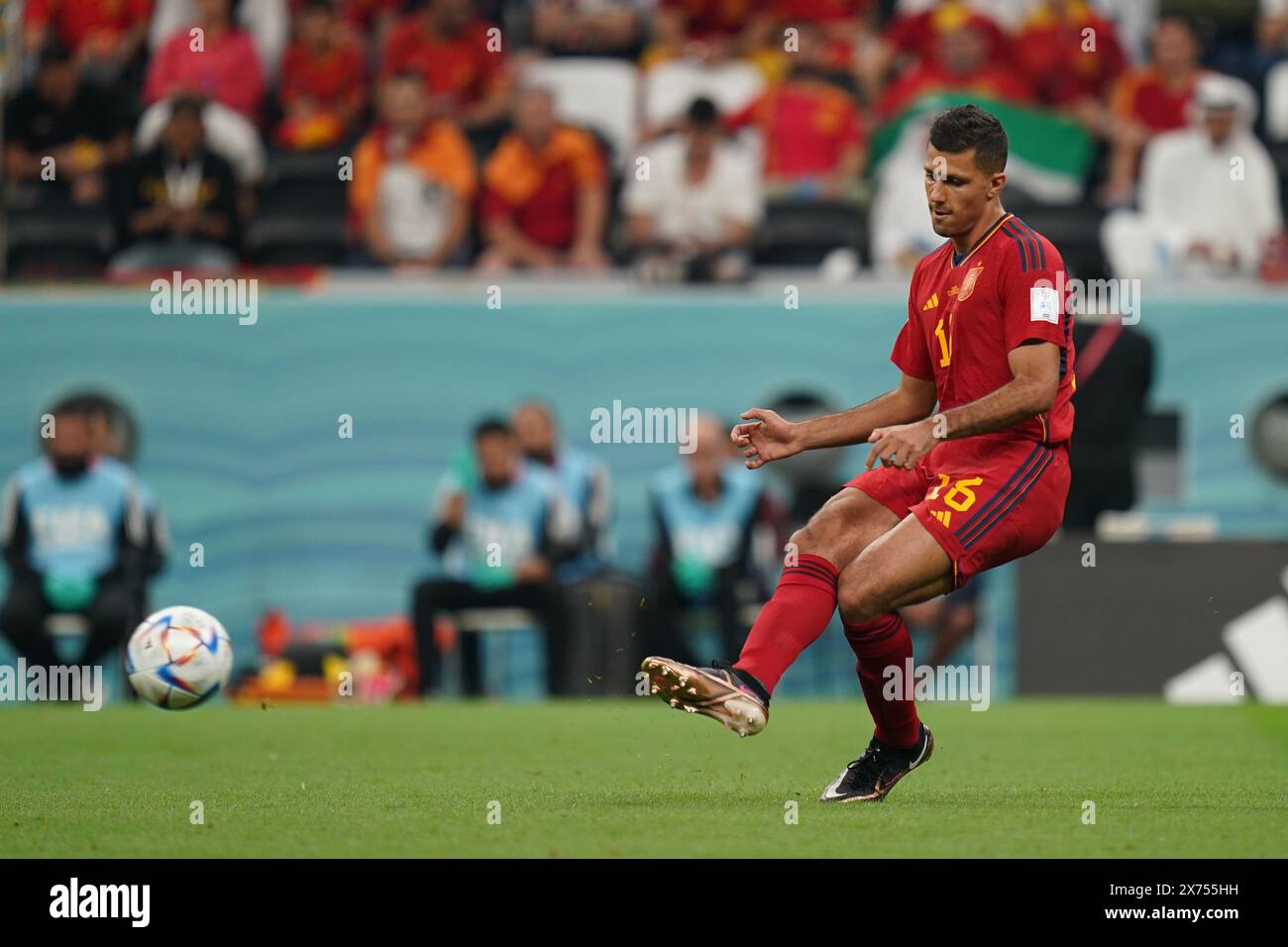 Doha, Qatar. 27th. november 2022. Rodrigo Hernandez during the match ...