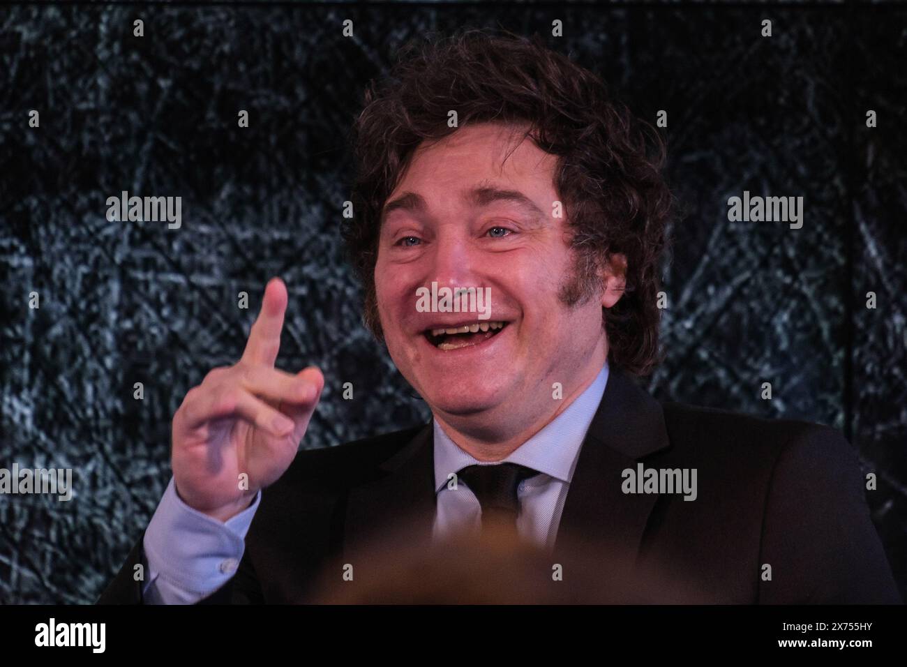 The president of the Nation of Argentina, Javier Milei during the ...