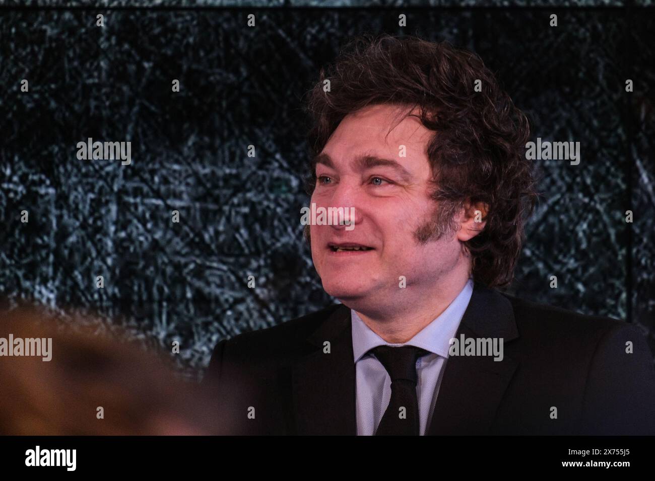 The president of the Nation of Argentina, Javier Milei during the ...