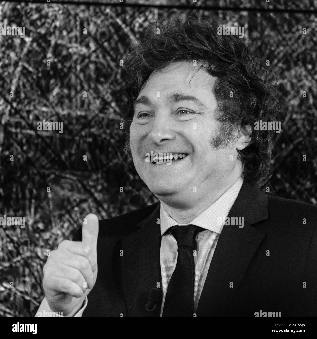 The president of the Nation of Argentina, Javier Milei during the ...