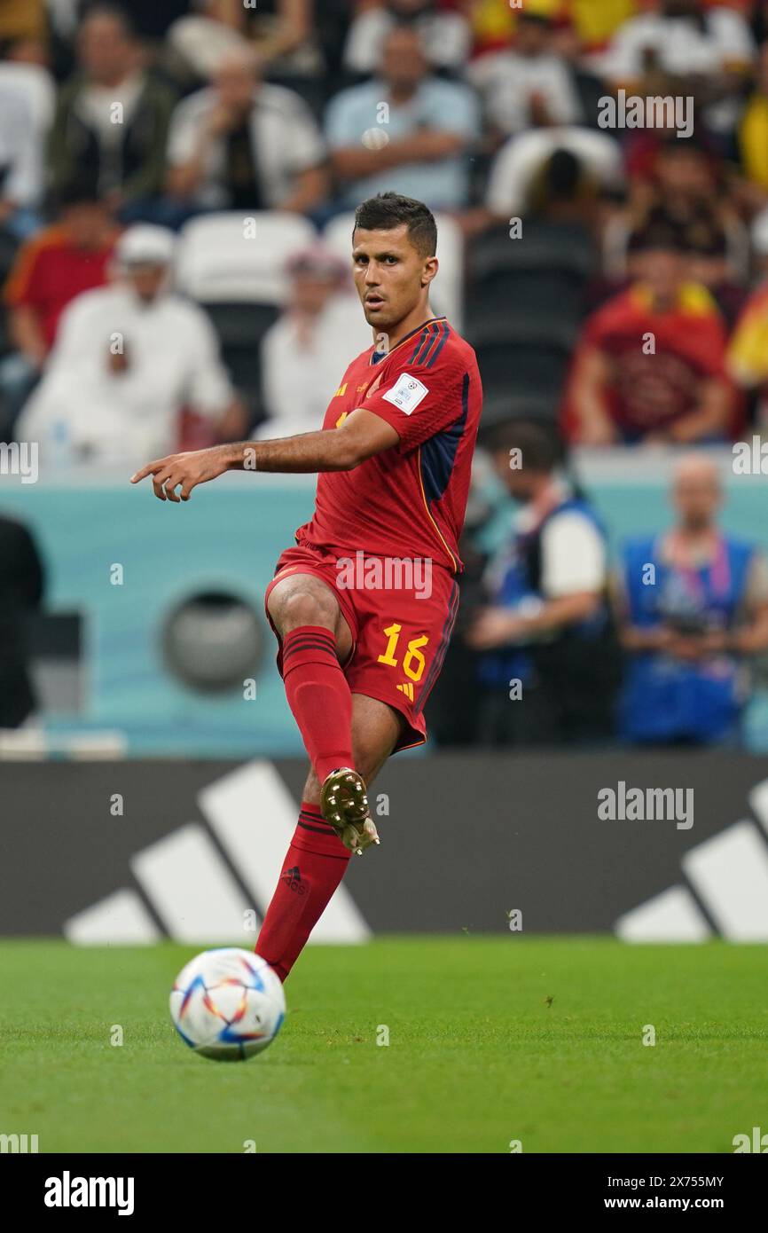Doha, Qatar. 27th. november 2022. Rodrigo Hernandez during the match ...