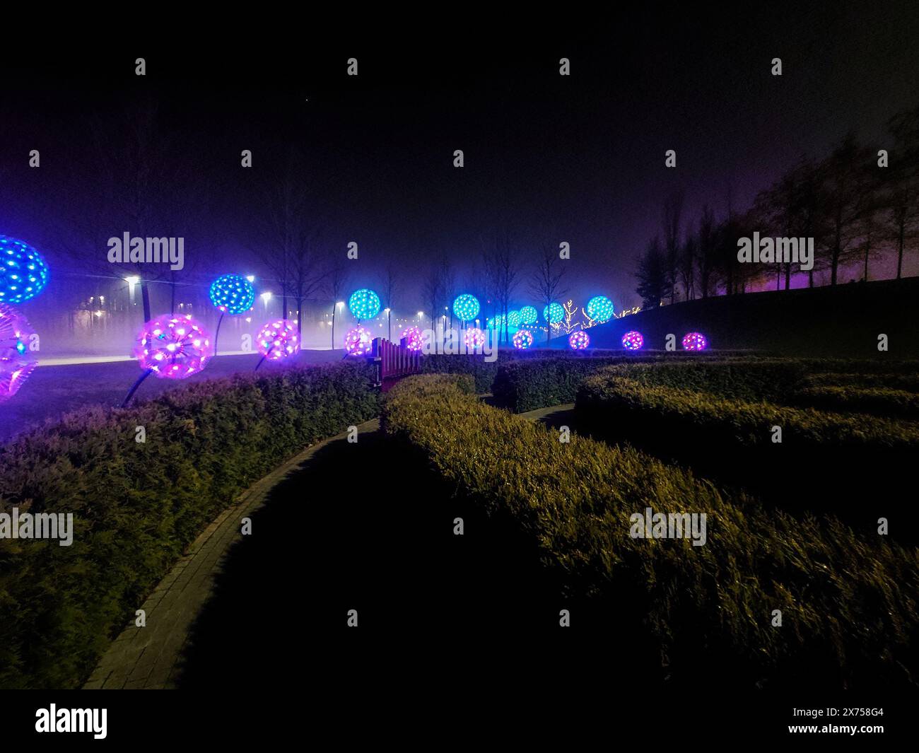 Night multi-colored illumination in the park Stock Photo - Alamy