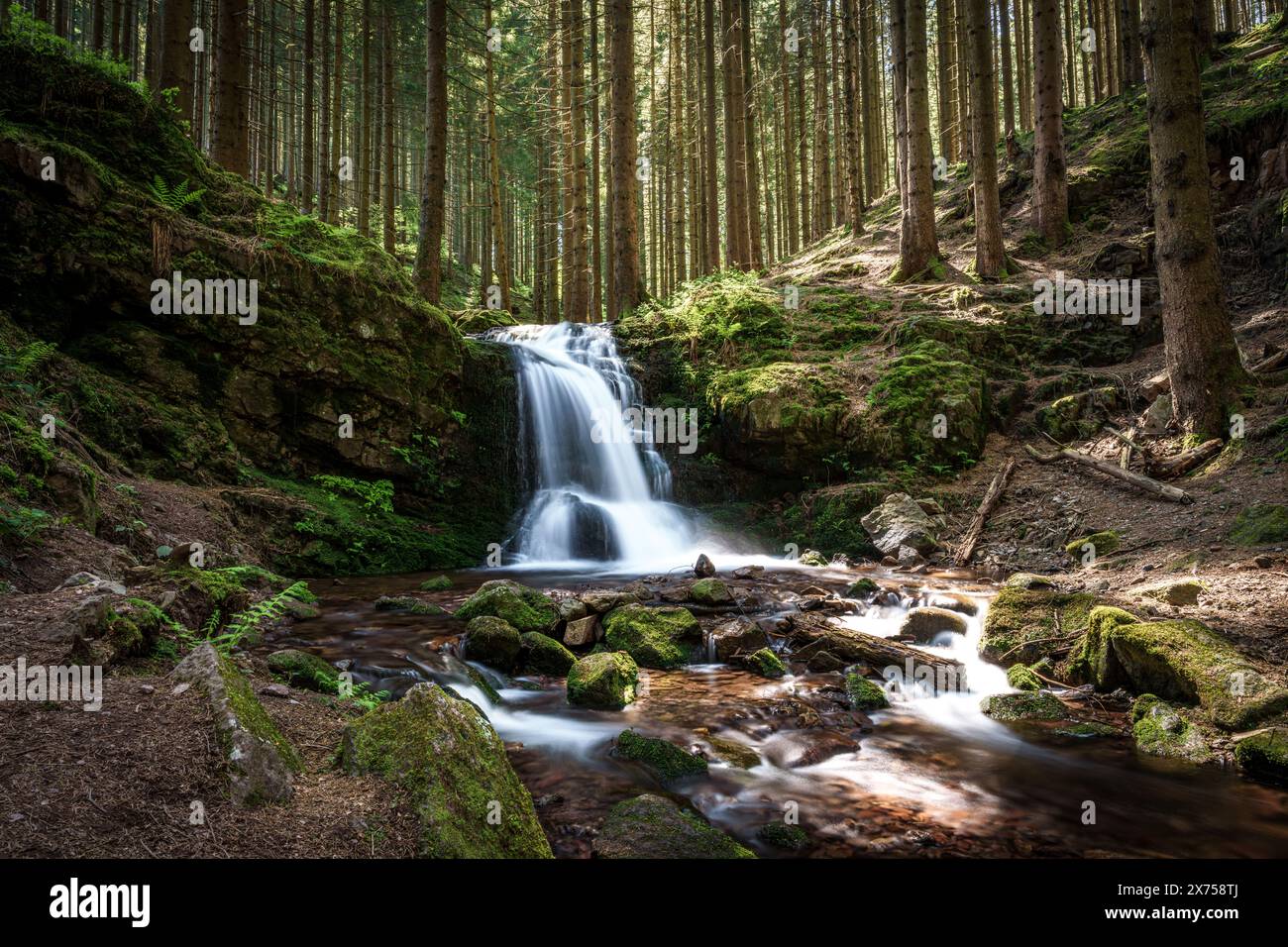 A picturesque waterfall cascades gently in a lush forest, surrounded by ...