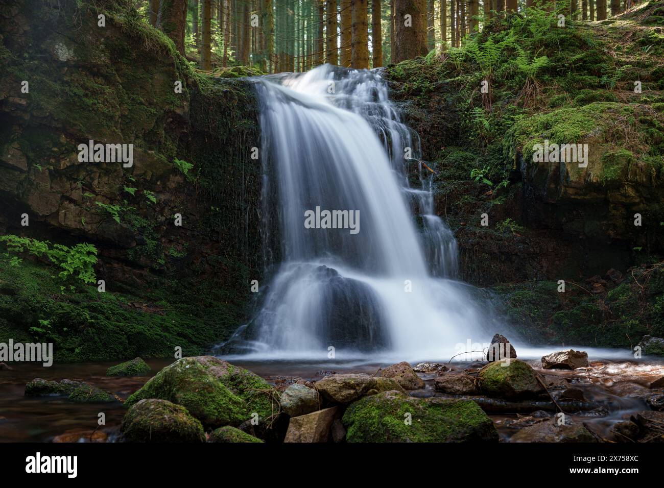 A picturesque waterfall cascades gently in a lush forest, surrounded by ...