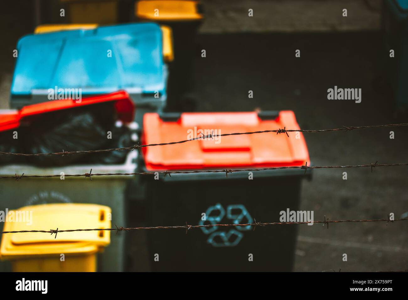 Colorful bright dumpsters for sorting miscellaneous waste in a back ...